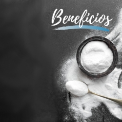 Florasan | CENTRO DE ATENCIÓN INTEGRAL – Raíces vitales